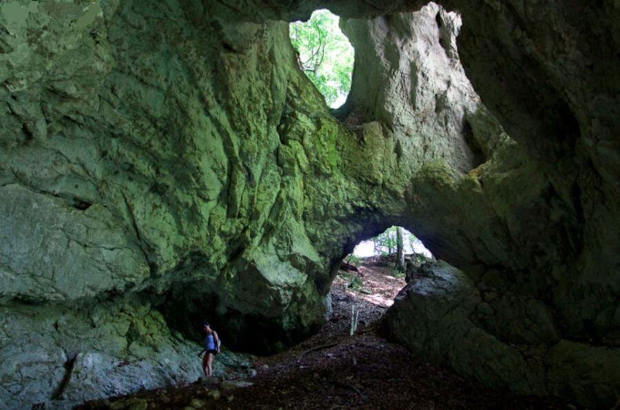 From Bled: Half-Day Pokljuka Gorge Trail Hike - Who Will Enjoy This Tour?