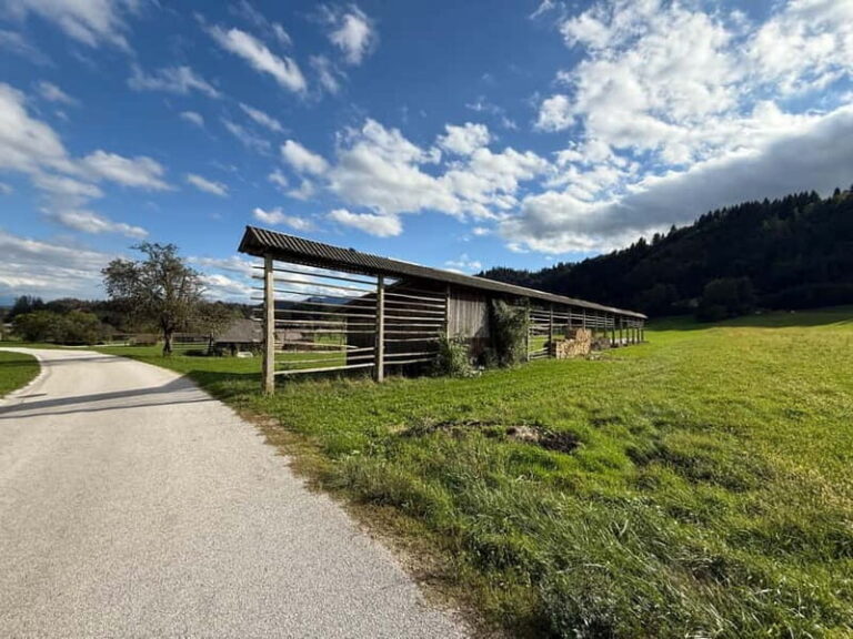 From Bled: Self Guided E-Bike Trip to Triglav National Park - Detailed Breakdown: Is It Worth It?