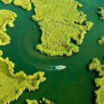 From Bodrum: Dalyan, Turtle Beach, and Mud Baths Day Trip - Is It Worth the Cost?