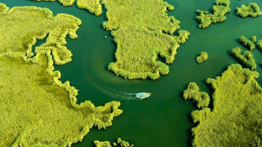 From Bodrum: Dalyan, Turtle Beach, and Mud Baths Day Trip - Is It Worth the Cost?