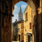 From Bordeaux: Saint-Émilion Half-Day Trip with Wine Tasting - The Practicalities: What You Need to Know