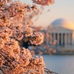 From Boston: 4-Day Tour to New York, D.C.&Niagara Falls - An In-Depth Look at the Itinerary