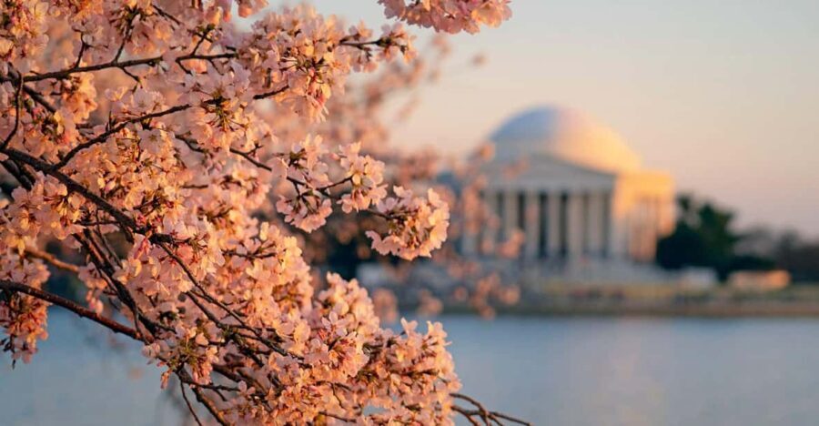 From Boston: 4-Day Tour to New York, D.C.&Niagara Falls - An In-Depth Look at the Itinerary