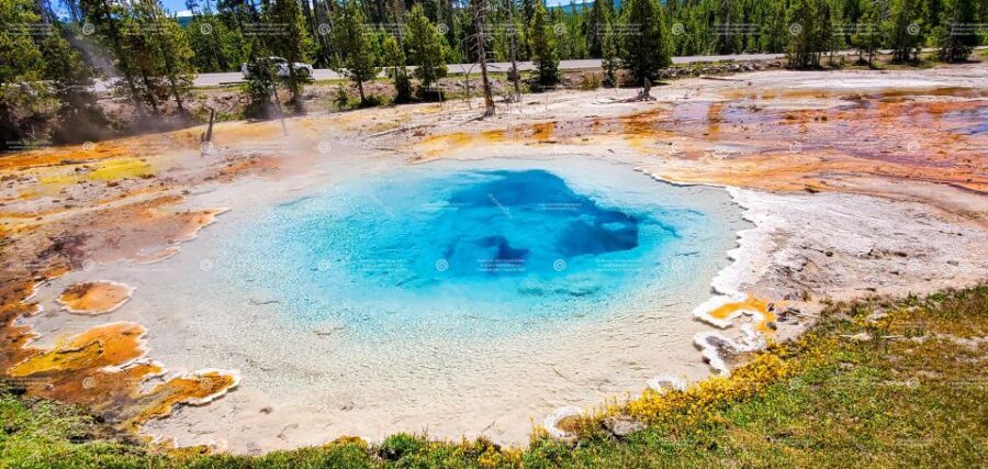 From Bozeman: Exclusive Yellowstone Tour (2 Days & 1 Night) - An In-Depth Look at the Itinerary