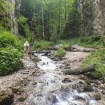 From Brasov : Hiking in Piatra Craiului National Park - Why This Tour Offers Great Value