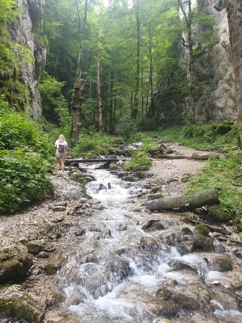 From Brasov : Hiking in Piatra Craiului National Park - Why This Tour Offers Great Value