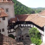 From Brasov: Peles Castle, Bran Castle & Cantacuzino Castle - Who Should Consider This Tour?