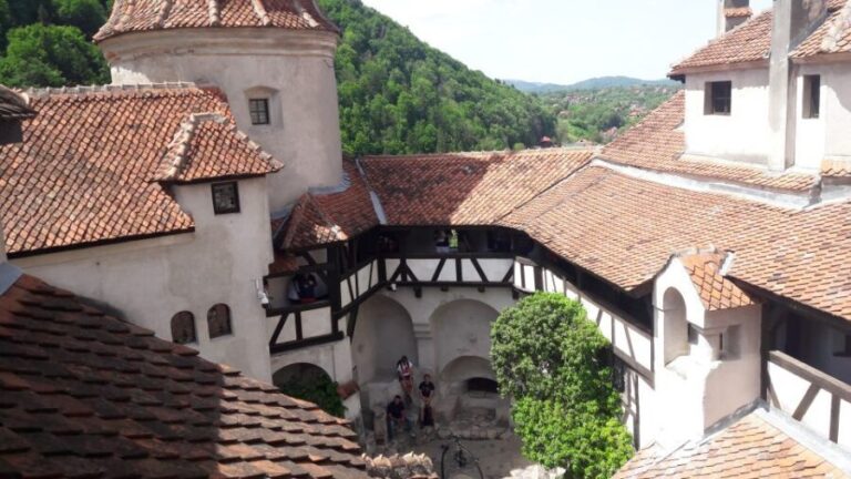 From Brasov: Peles Castle, Bran Castle & Cantacuzino Castle - Who Should Consider This Tour?