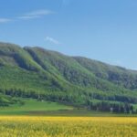 From Bucharest: Bear Sanctuary and 7 Ladders Canyon Day Trip - A Deep Dive into the Experience