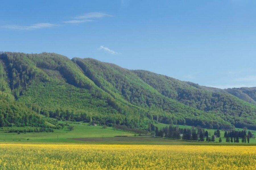 From Bucharest: Bear Sanctuary and 7 Ladders Canyon Day Trip - A Deep Dive into the Experience