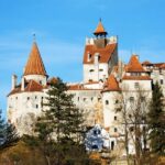 From Bucharest: Libearty Bear Sanctuary and Dracula's Castle - What Travelers Love (and What to Consider)
