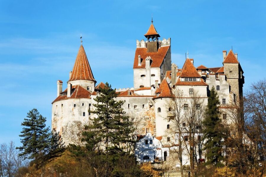 From Bucharest: Libearty Bear Sanctuary and Dracula's Castle - What Travelers Love (and What to Consider)