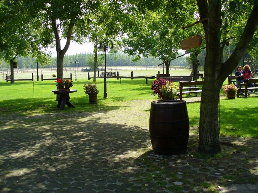From Budapest: Full-Day Puszta Tour with Lunch and Show - Value and Practicalities
