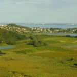 From Budapest: Lake Balaton Private Sailing/Tihany Peninsula - Itinerary Breakdown: What to Expect on the Day