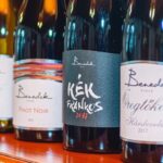From Budapest: Mátra Hills Wine Tour - What the Reviews Say