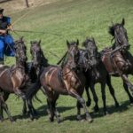 From Budapest: Puszta Horse Show and Countryside Visit - Authentic Experiences and Highlights