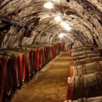 From Budapest: Tokaj Wine Tour with Tasting and Lunch - A Closer Look at the Tour Experience