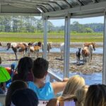 From Chincoteague Island: Assateague Island Boat Tour - What Travelers Are Saying