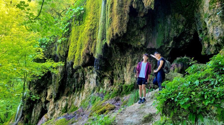 From Cluj-Napoca: Apuseni Mountains Hiking Guided Day Tour - A Deep Dive into the Experience