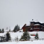 From Cluj-Napoca: Day Hike to Vldeasa Peak - Why This Tour Offers Good Value