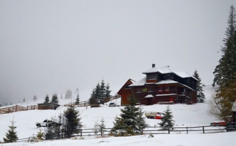 From Cluj-Napoca: Day Hike to Vldeasa Peak - Why This Tour Offers Good Value