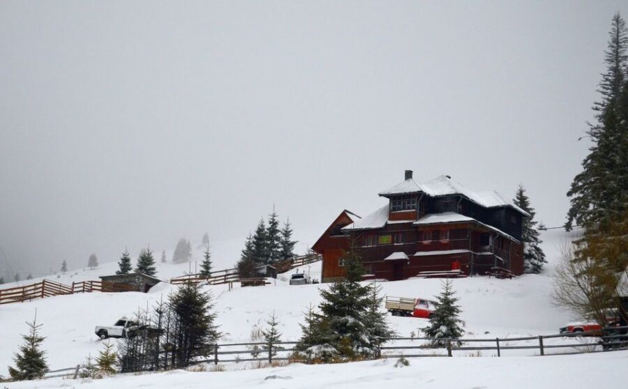 From Cluj-Napoca: Day Hike to Vldeasa Peak - Why This Tour Offers Good Value