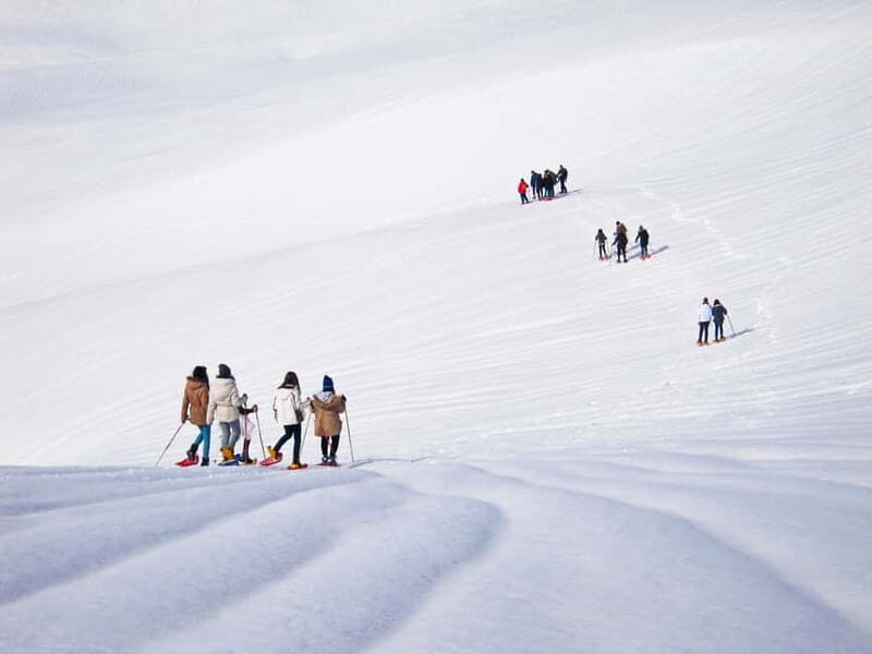 From Cluj: Winter Walking Trip on the Great Mountain - Who Will Love This Experience?