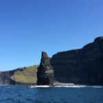 From Doolin: Cliffs of Moher Boat Tour - Wildlife and Nature: The Heart of the Experience