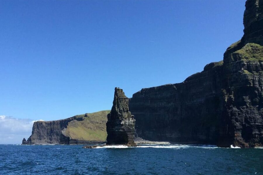From Doolin: Cliffs of Moher Boat Tour - Wildlife and Nature: The Heart of the Experience