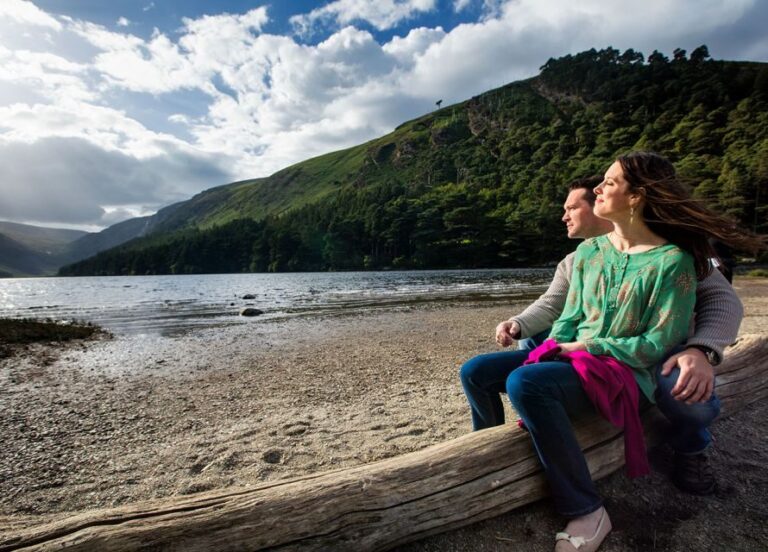 From Dublin: Half-Day Trip to Glendalough and Wicklow - The Transportation and Guide