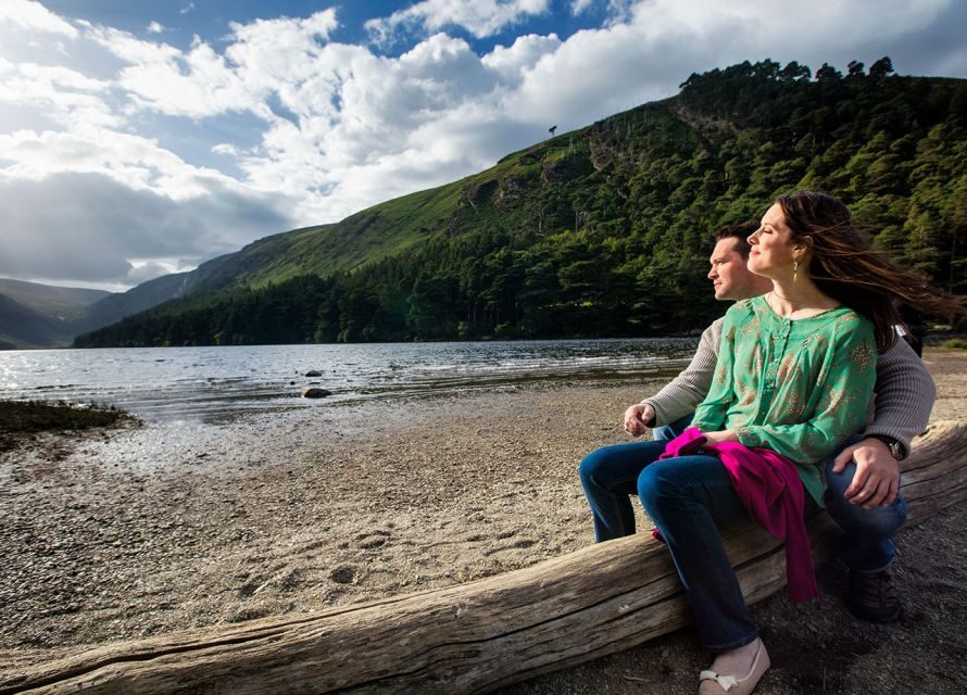 From Dublin: Half-Day Trip to Glendalough and Wicklow - The Transportation and Guide