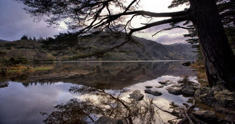 From Dublin: Wicklow Mountains, Glendalough, & Kilkenny Tour - Practical Considerations
