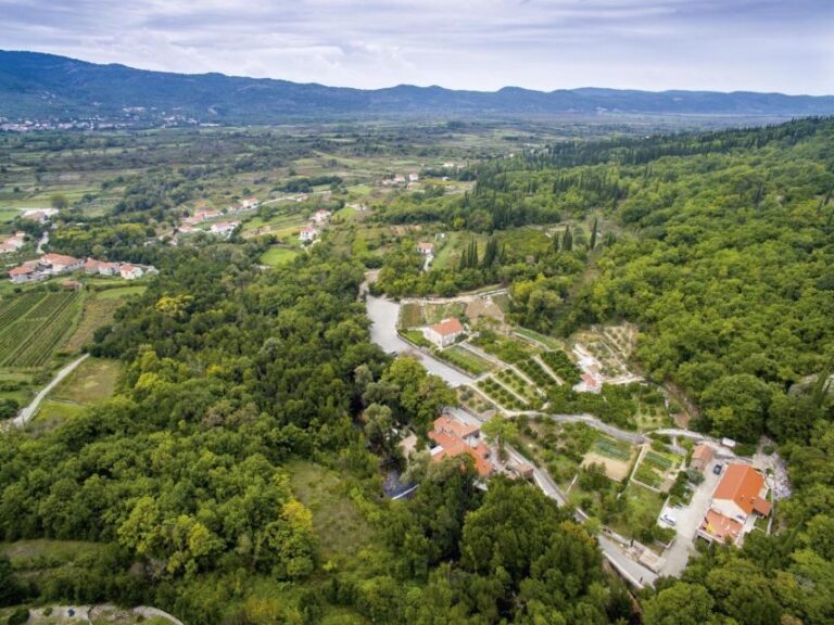 From Dubrovnik Konavle wine tasting tour and Cavtat - The Family-Run Winery Experience