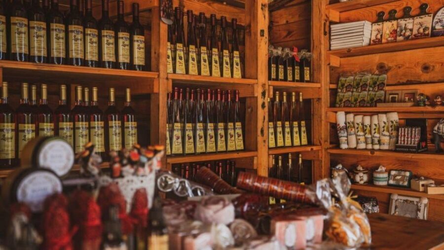 From Dubrovnik Oyster and Wine Tasting Tour in Ston Bay - The Experience: What to Expect