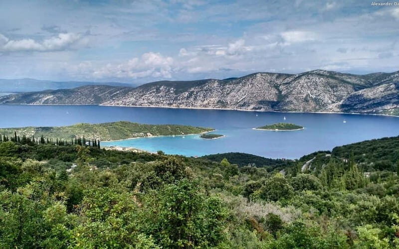 From Dubrovnik Oyster, Mussles, and Wine Tasting in Ston Bay - The Details that Matter