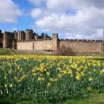 From Edinburgh: 1-day Outlander Tour - attractions included - Who Will Love This Tour?