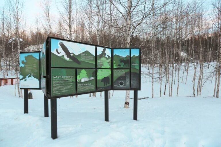 From Fairbanks: Arctic Circle Northern Lights Full-Day Trip - Transportation, Timing, and Group Size