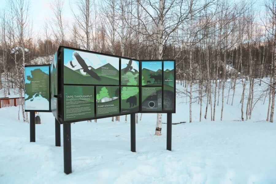 From Fairbanks: Arctic Circle Northern Lights Full-Day Trip - Transportation, Timing, and Group Size