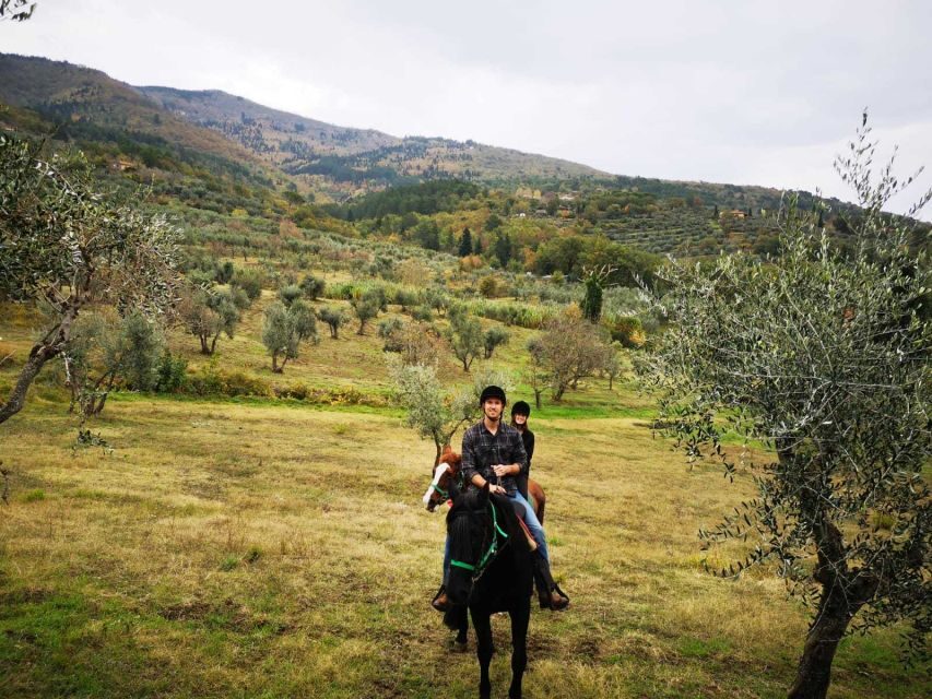 From Florence: Horseback Ride and Olive Oil and food tasting - The Practicalities: What to Expect and Consider