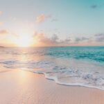 FROM FLORIDA: Bahamas Day Escape By Ferry - The Ferry Experience: Comfort and Scenery