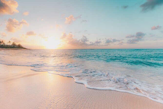 FROM FLORIDA: Bahamas Day Escape By Ferry - The Ferry Experience: Comfort and Scenery