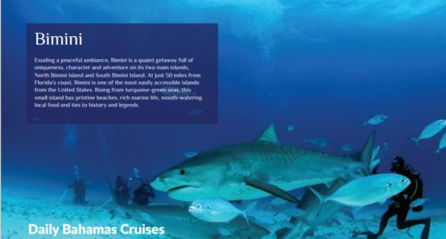 From Fort Lauderdale: Bimini Island Day Trip by Ferry - The Itinerary in Detail