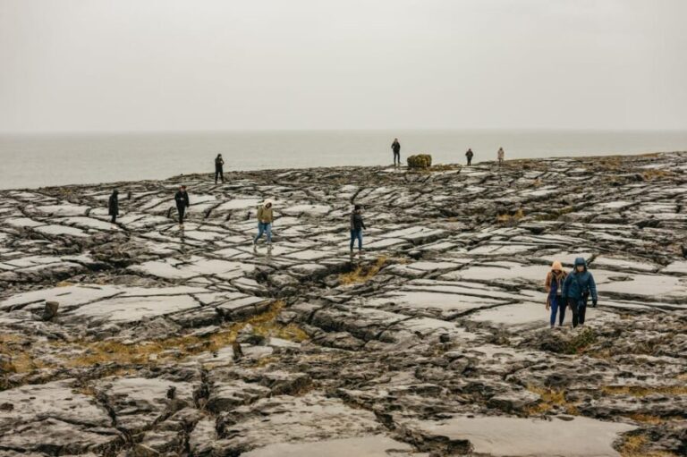 From Galway: Cliffs of Moher and The Burren Guided Day Trip - What Do Travelers Say?