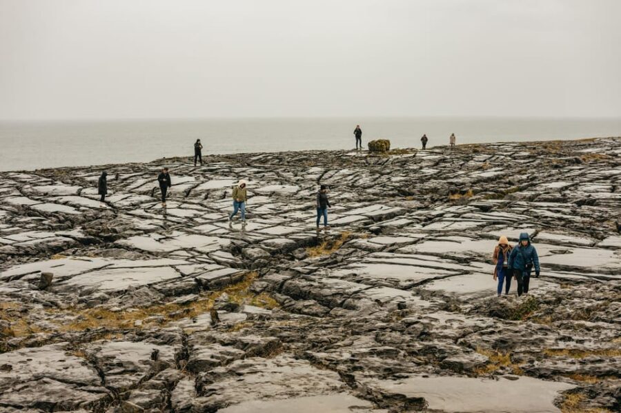 From Galway: Cliffs of Moher and The Burren Guided Day Trip - What Do Travelers Say?