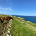From Galway: Cliffs of Moher Guided Coastal Walk - FAQ