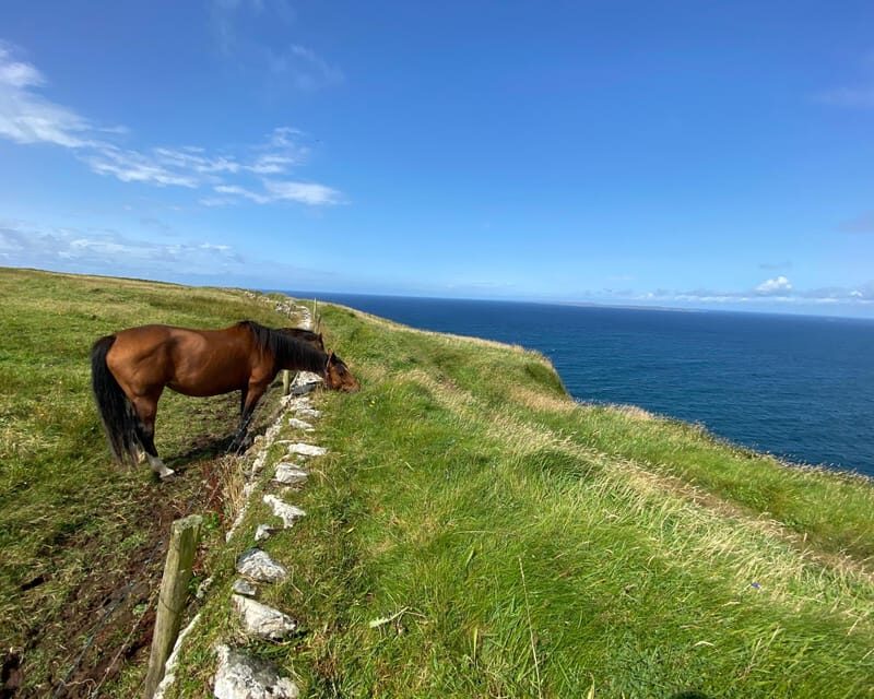 From Galway: Cliffs of Moher Guided Coastal Walk - FAQ