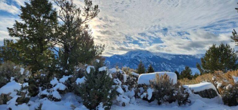 From Gardiner: Yellowstone National Park Snowshoe Tour - What You Can Expect from the Yellowstone Snowshoe Tour
