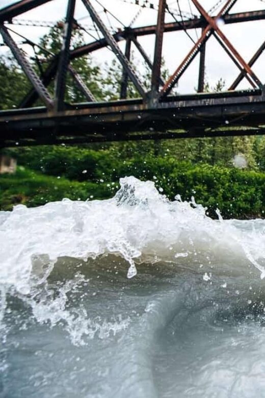 From Girdwood or Anchorage: Spencer Glacier Float & Railroad - An In-Depth Look at the Experience
