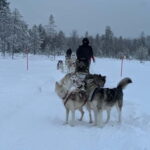 From Helsinki: 7-Day Lapland Northern Lights Tour - Experience Quality and Value