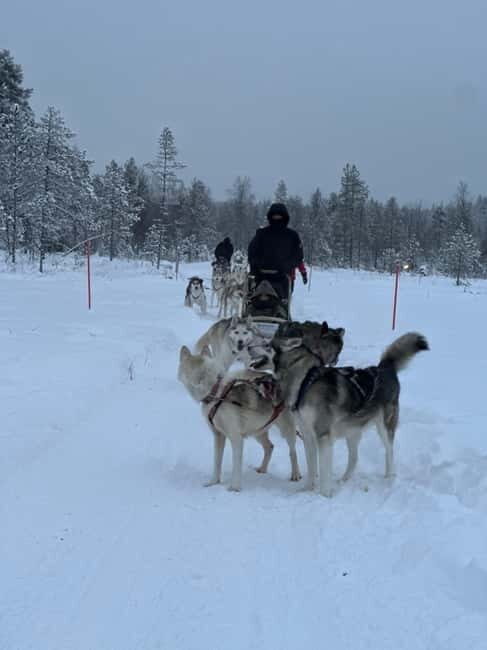 From Helsinki: 7-Day Lapland Northern Lights Tour - Experience Quality and Value